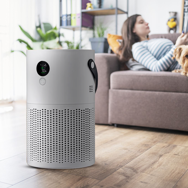 Freshia Air Purifier Under Review: Best Home Air Purifier For Dust ...